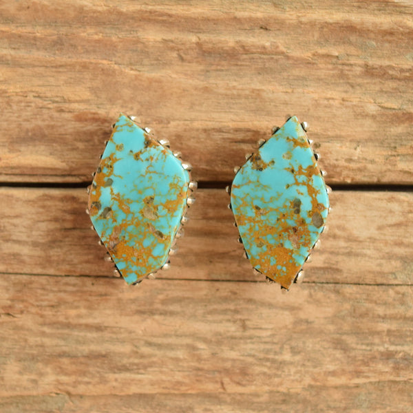 Harlequin Chicken Earrings – YournNonce